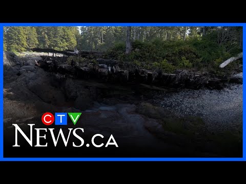 128-year-old shipwreck charred by fire on shores of Vancouver Island