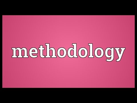 Methodology Meaning