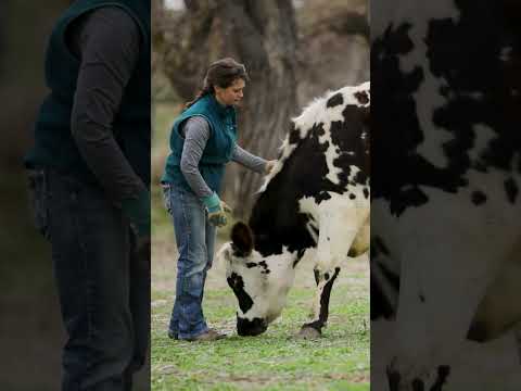 Cross E Dairy in Sheridan, WY: Providing Nourishing, Life-Giving Food #eatwyoming #wyoming