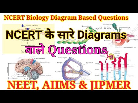 NCERT Biology Diagram Based questions - Part 1 -- very important for ...