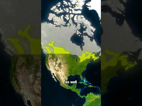 Why is Canada so Empty? #shorts