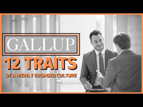 Top 12 Traits of a High-Performance Company Culture (from a Gallup Engagement Survey) PART 1