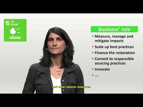 Sustainable Development Goal SDG 15 Life on Land