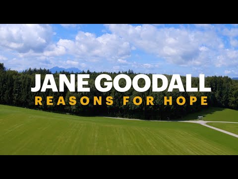Jane Goodall: Reasons for Hope Preview with Music by Amin Bhatia
