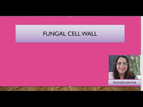 FUNGI CELL WALL #BOTANY# NAZZ STUDIES