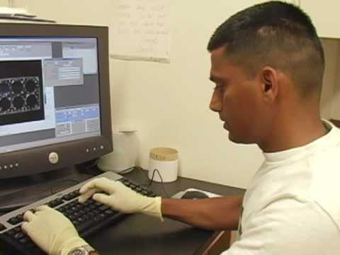 U-M Radiation Oncology: Leaders in Research