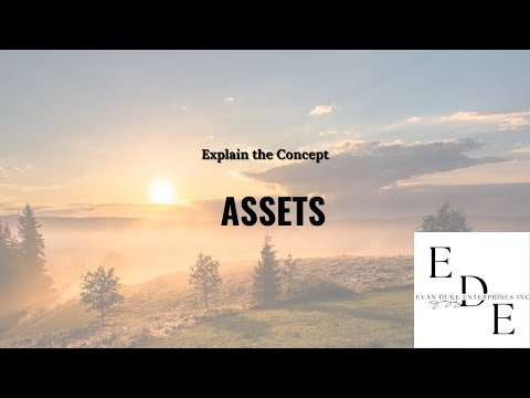 Explain the Concept: Assets