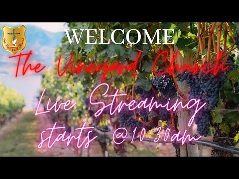 The Vineyard Church Live! - Trinity Sunday. 15June2025.