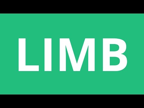How To Pronounce Limb - Pronunciation Academy