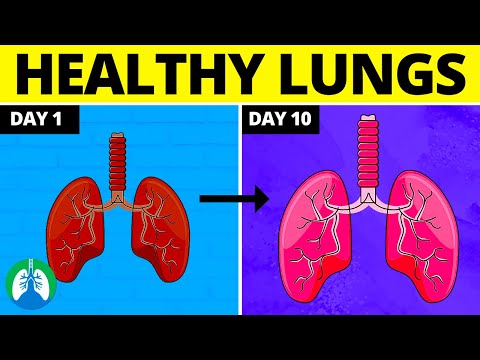If You Want Healthy Lungs, Do THIS Every Day for 30 Days ❗