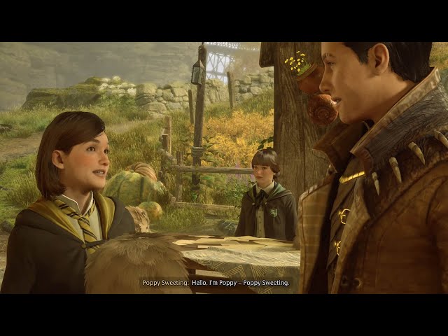 How to bring companions on your adventures in Hogwarts Legacy