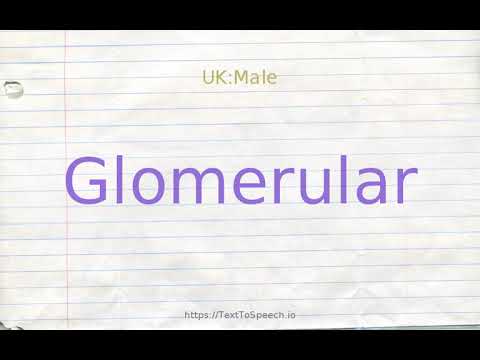 How to pronounce glomerular
