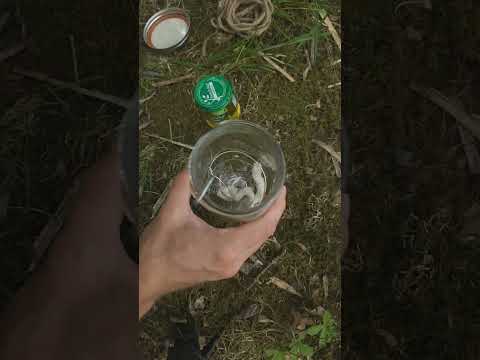 DIY oil lantern 🔥🏕