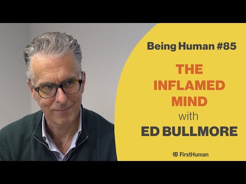 #85 The Inflamed Mind - with Ed Bullmore - FirstHuman