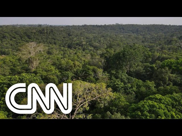 Municípios Terão Acesso Aos R 3 9 Bi Em Caixa Do Fundo Amazônia Veja