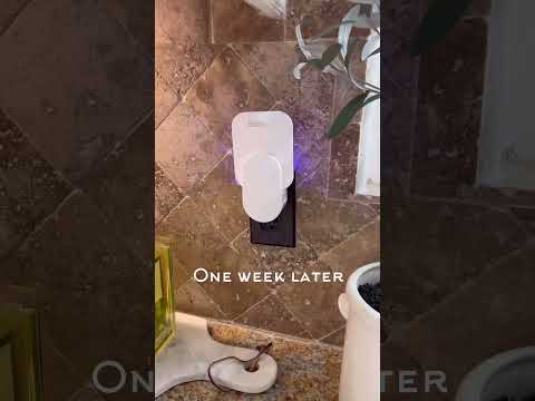 Maintain a Fly-Free Home with Safer Brand Indoor Plug-in Fly Traps