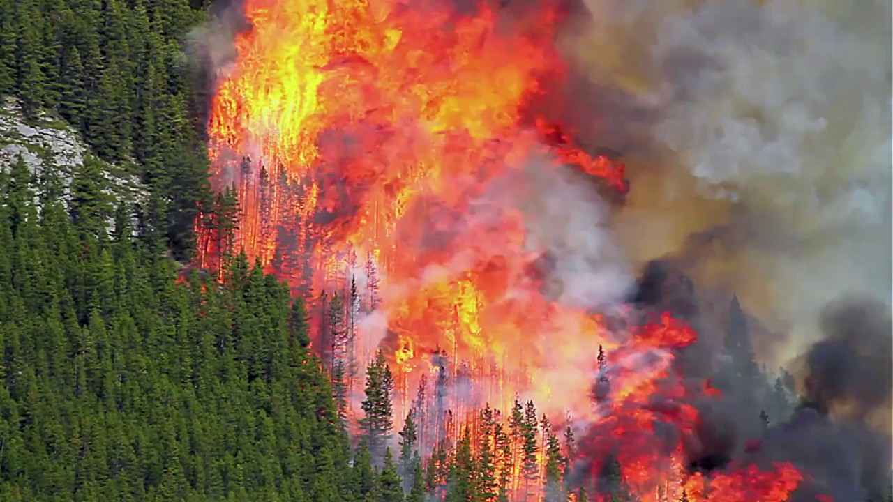 FireSmart Disciplines: Vegetation Management