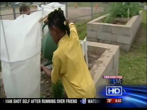 Recipe for Success Foundation Featured on ABC