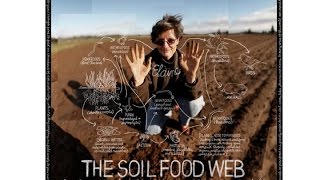 Soil Scientist Overview | What is a soil scientist? - Zippia