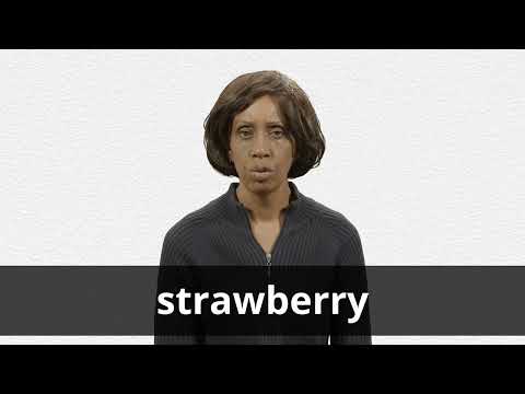 STRAWBERRY 释义 | 柯林斯英语词典