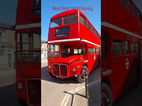 Bus fest Whittlesey 2023 #shorts
