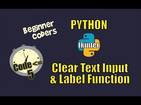 PYTHON for BEGINNERS - Clear Text Input and Label Function