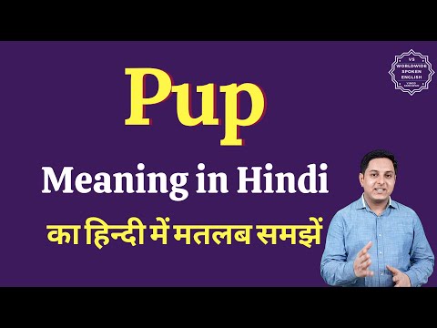 Pup meaning in Hindi | Pup ka matlab kya hota hai | English vocabulary words