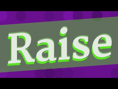 RAISE pronunciation • How to pronounce RAISE