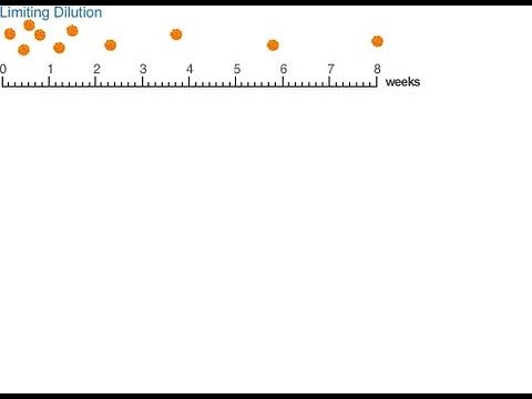 screeningmethod_09_03_03_AS3