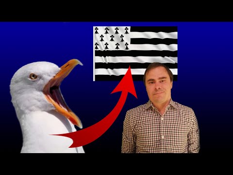 11 Animals in the Breton Language / La Langue Bretonne, 11 animaux