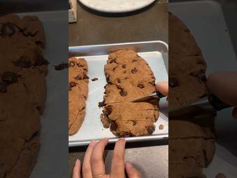 Chocolate biscotti 🍫