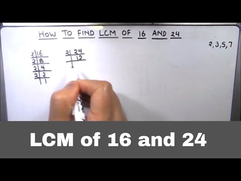 How to Find LCM of 16 and 24 / How to Find LCM of Two Numbers / Finding LCM of 16 and 24