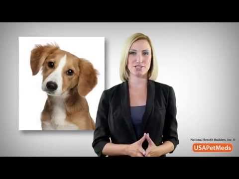 Pet Meds USA - Free Rx Card - Best Prices on Pet Meds Online