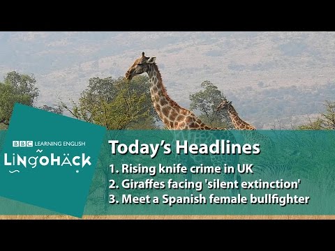 Learn words from the news: predominantly, devastating, cited, controversial
