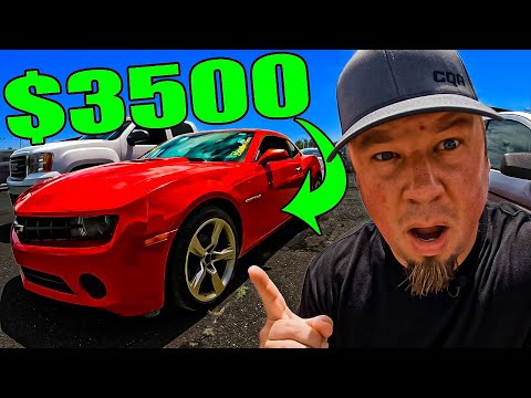 CRAZY PRICES At Car Auction! Dealers IN TROUBLE!