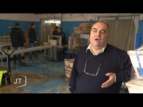Huitres : Un produit phare pour les fêtes (Noirmoutier)