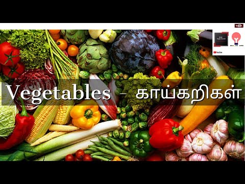 Vegetables | காய்கறிகள் | carrot, beetroot in Tamil | அவரைக்காய் in English | veggies meaning | veg