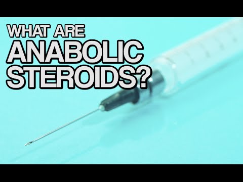 What are Anabolic Steroids?