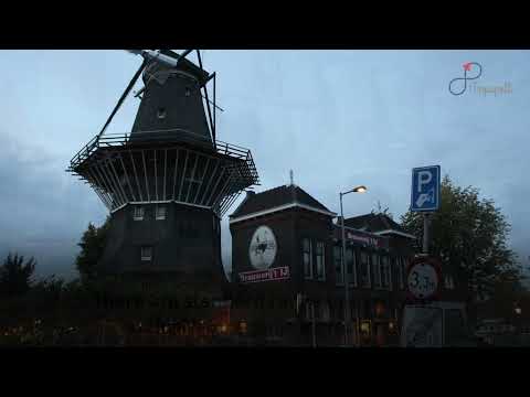 Brouwerij 't IJ - Windmill Brewery, Amsterdam Guide - What to do, When to visit, How to reach, Cost