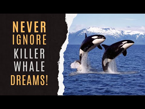 Could Dreaming of a Killer Whale Reveal Hidden Emotions You’ve Ignored?