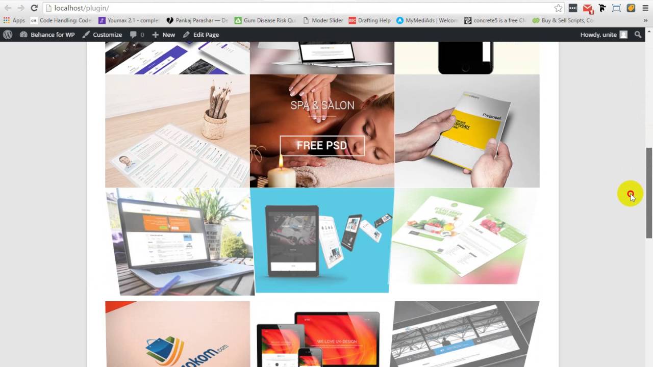 Behanceian WordPress Plugin Installation Guide