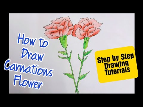 Carnation Flower Drawing Step by Step Tutorial – I'm Youtuber – Follow ...