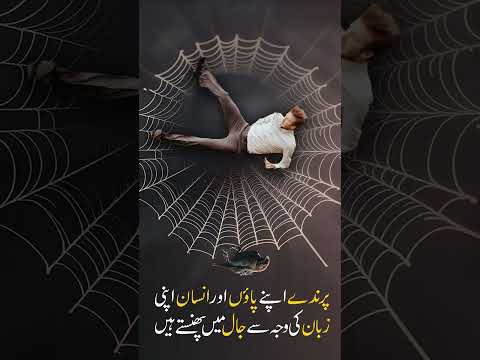 #urduquotes #islamicquotes #urdu #learningcover #zuban #motivation