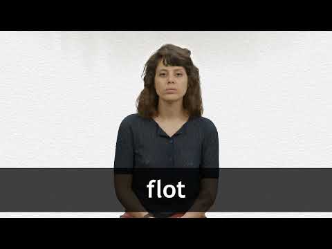English Translation of “FLOT” | Collins French-English Dictionary