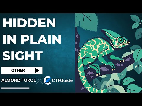 CTFGuide: Hidden In Plain Sight