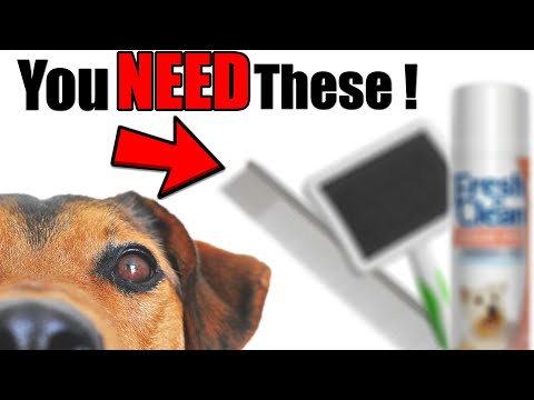 3 Pet Grooming Tools ALL Dog Owners Should Have