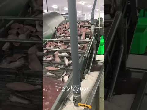 Basa fish and meat slices processing production line #seafoodprocessing #fish #fishing #seafood