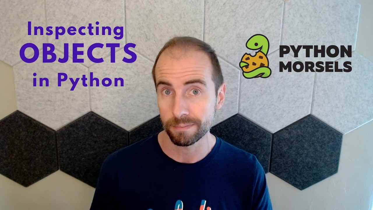 Inspecting objects in Python