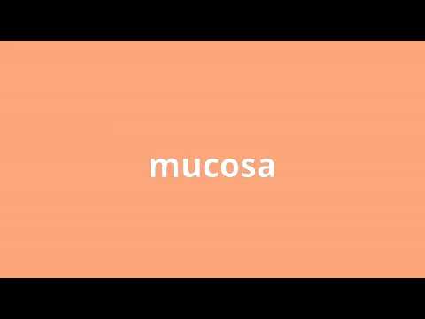 what is the meaning of mucosa