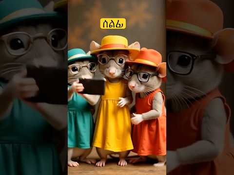 THE RAT’S PHOTO TIME #shortsyoutube #animals #ai #cartoon #shortvideo #shorts #lula #ebs #aflafikir